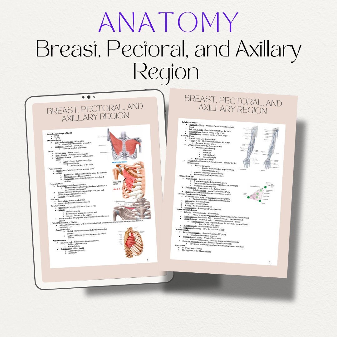 Anatomy Breast Pectoral and Axillary Region Study Guide Notes Medical ...