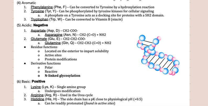 Biochemistry Amino Acids Study Guide Notes Medical School Digital ...