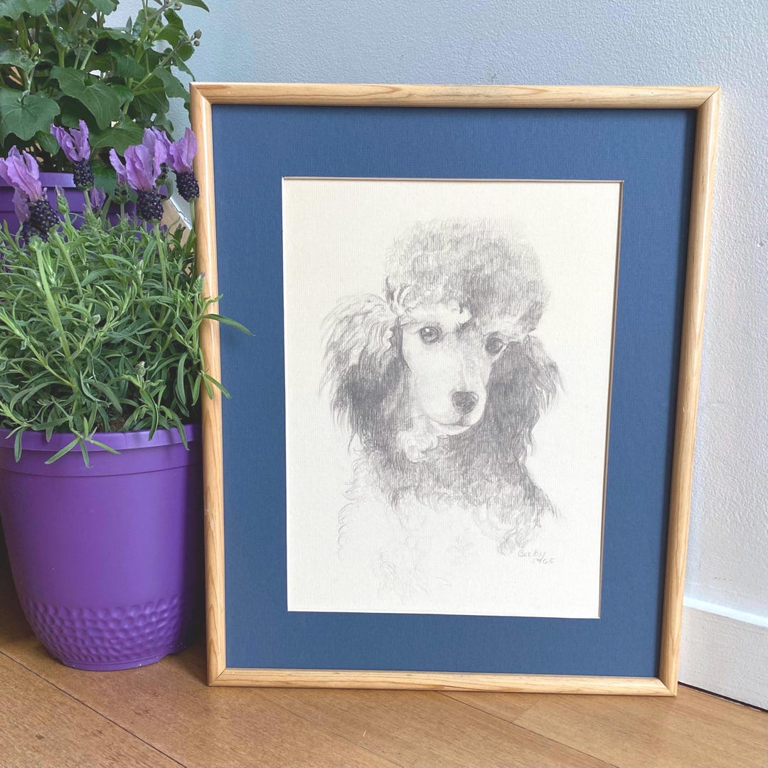 Dog Portait, Vintage Pencil Drawing, 1960s, 14x17, Signed - Etsy