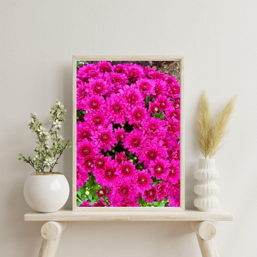 Pretty Pink Flower Instant Digital Download - 18x24 Printable Poster - Etsy