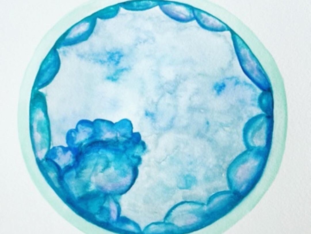 Embryo Watercolor Art - Etsy