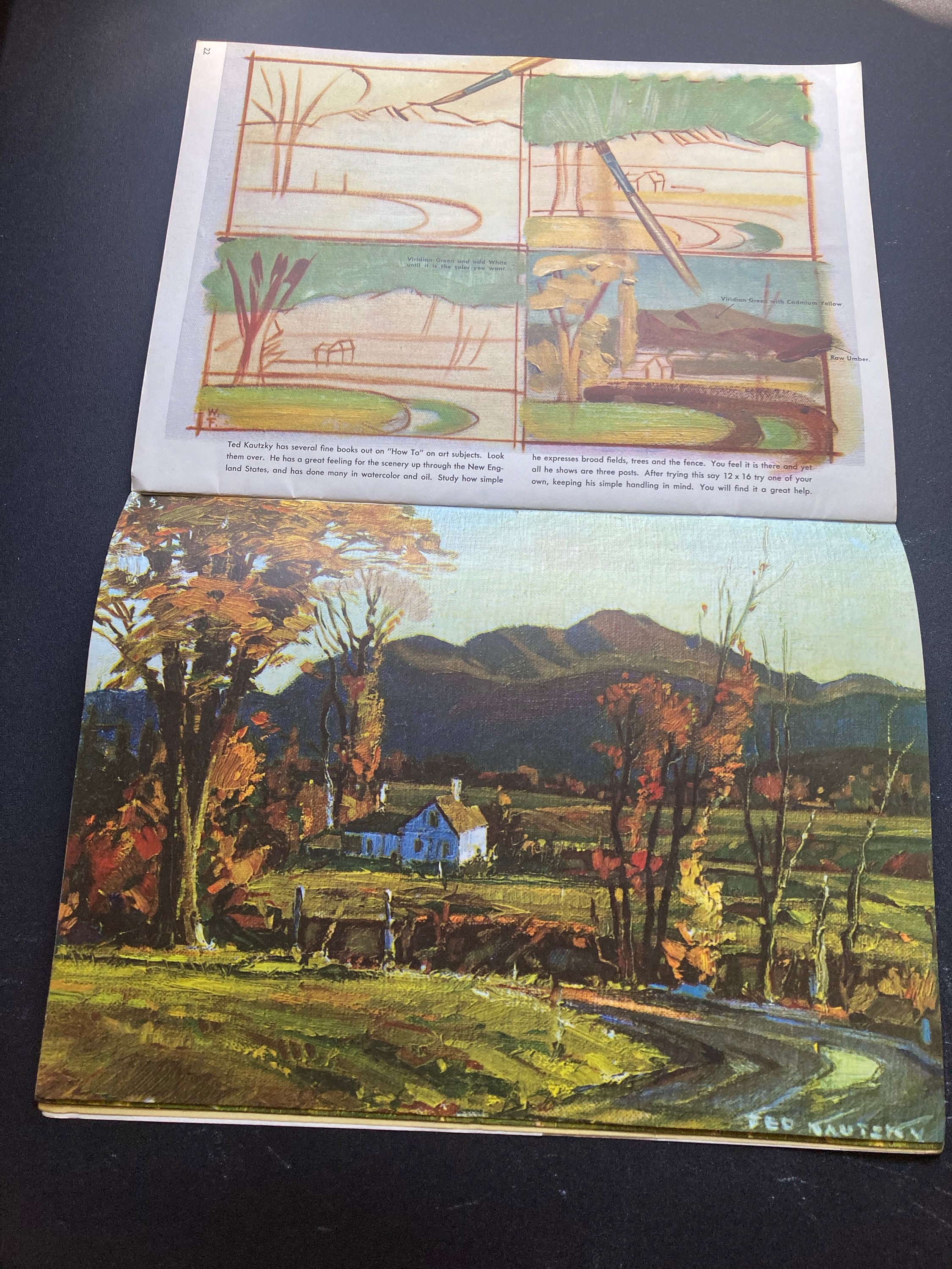 Vintage How to Draw and Paint Book - Etsy