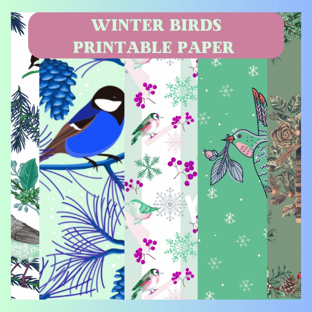 Winter Birds Background, Digital Paper, Blue and Green - Etsy
