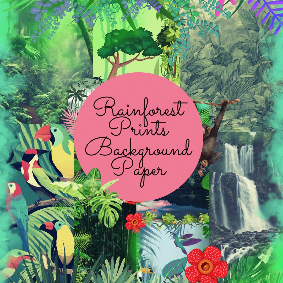 Rainforest Digital Prints, Amazon Forest, Background Paper, Jungle PNG ...