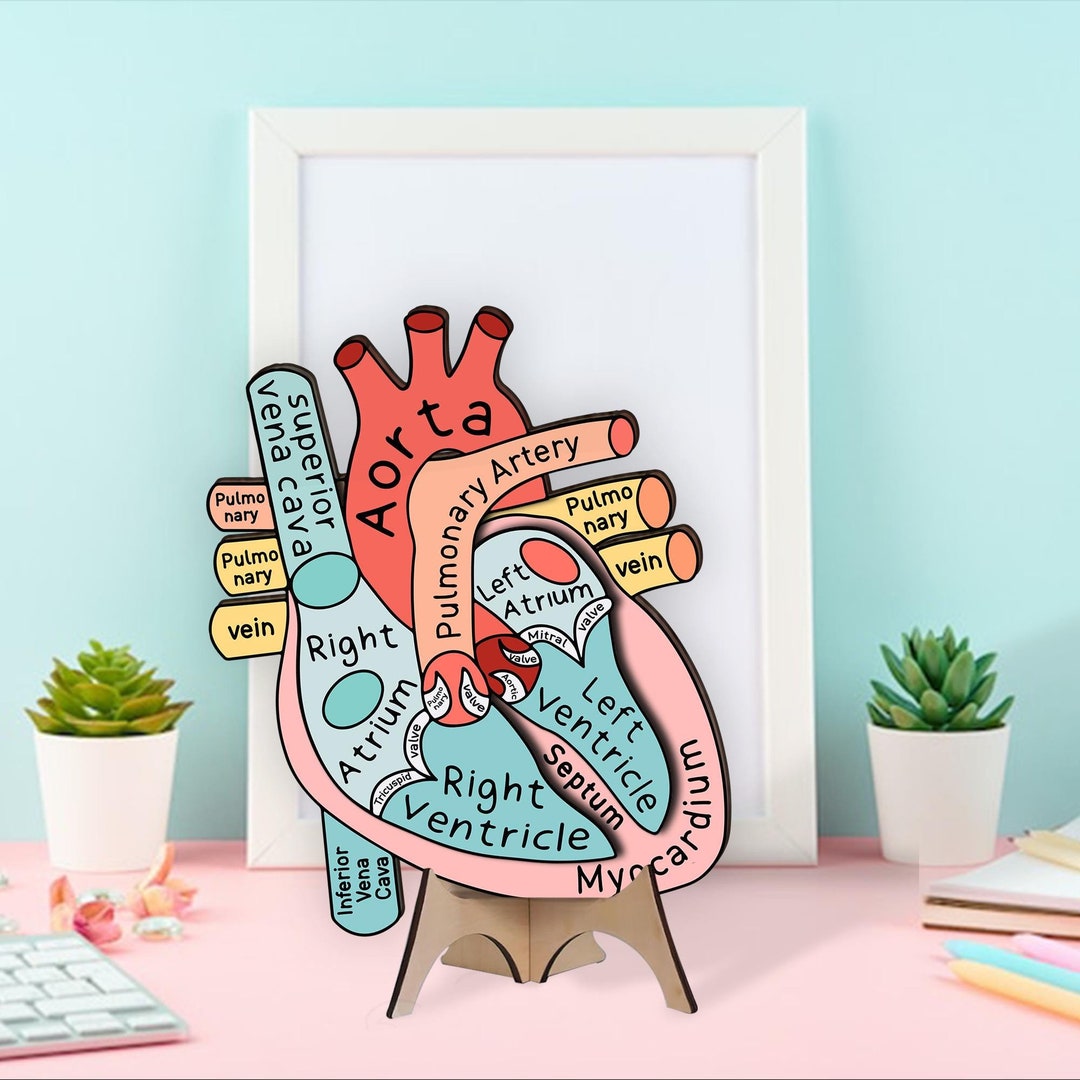 Heart Anatomy Cardiac Nurse Clinic 3D Wood Art, 2 Layer Art Piece Door ...