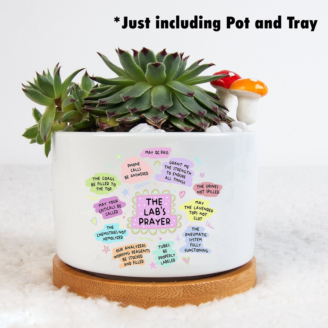 Nurse Plant Pot, Lab Tech Plant Pot, the Lab Tech's Prayer Succulent ...