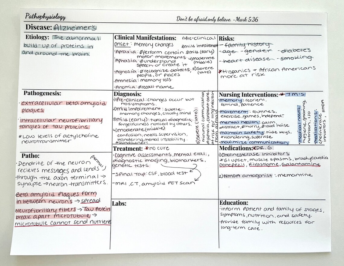 Pathophysiology Concept Map, Blank Concept Map, for Nursing Students ...