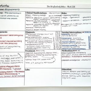 Pathophysiology Concept Map, Blank Concept Map, for Nursing Students ...