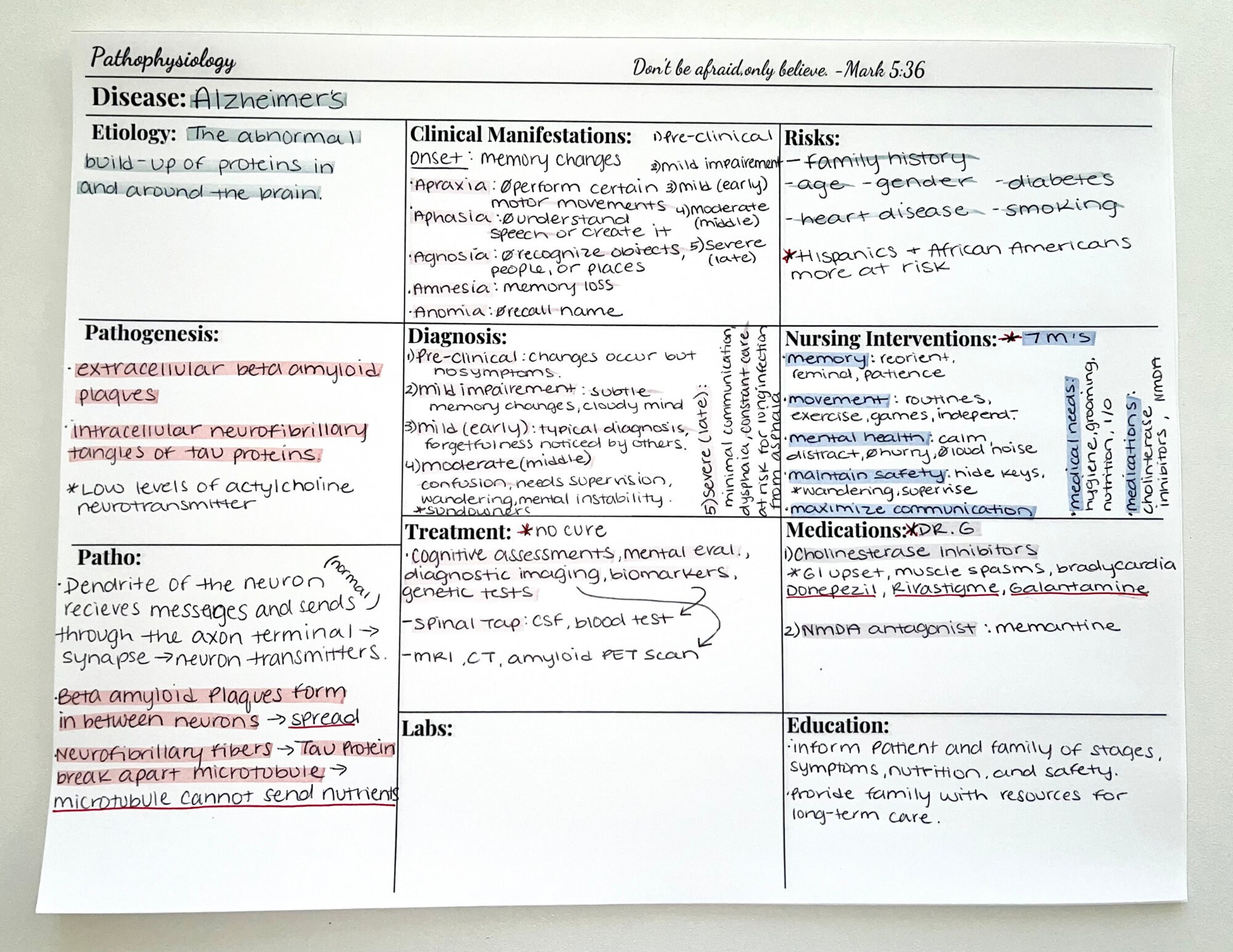 Pathophysiology Concept Map, Blank Concept Map, for Nursing Students ...