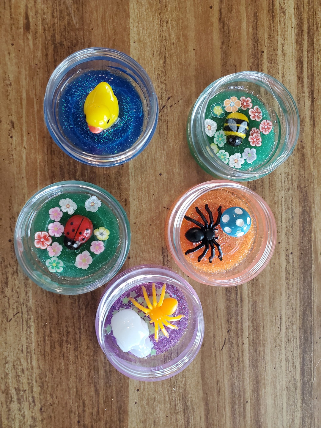 Super Cute Mini Desk Pet Terrariums (customizable) - Etsy