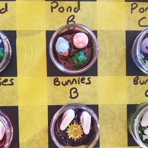 Super Cute Mini Desk Pet Adoption restocked 9/2/24 - Etsy