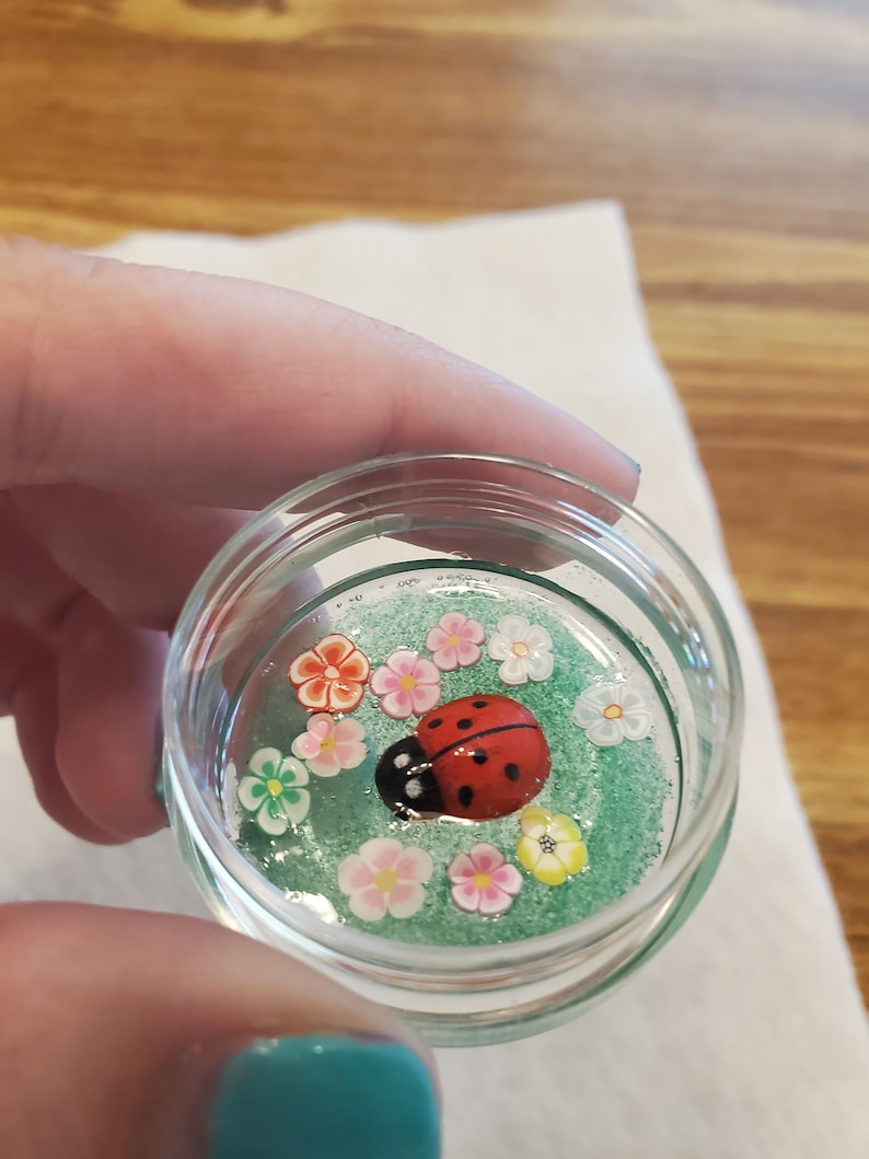 Super Cute Mini Desk Pet Terrariums (customizable) - Etsy