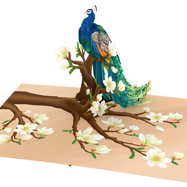 Peacock Pop up Card - Etsy