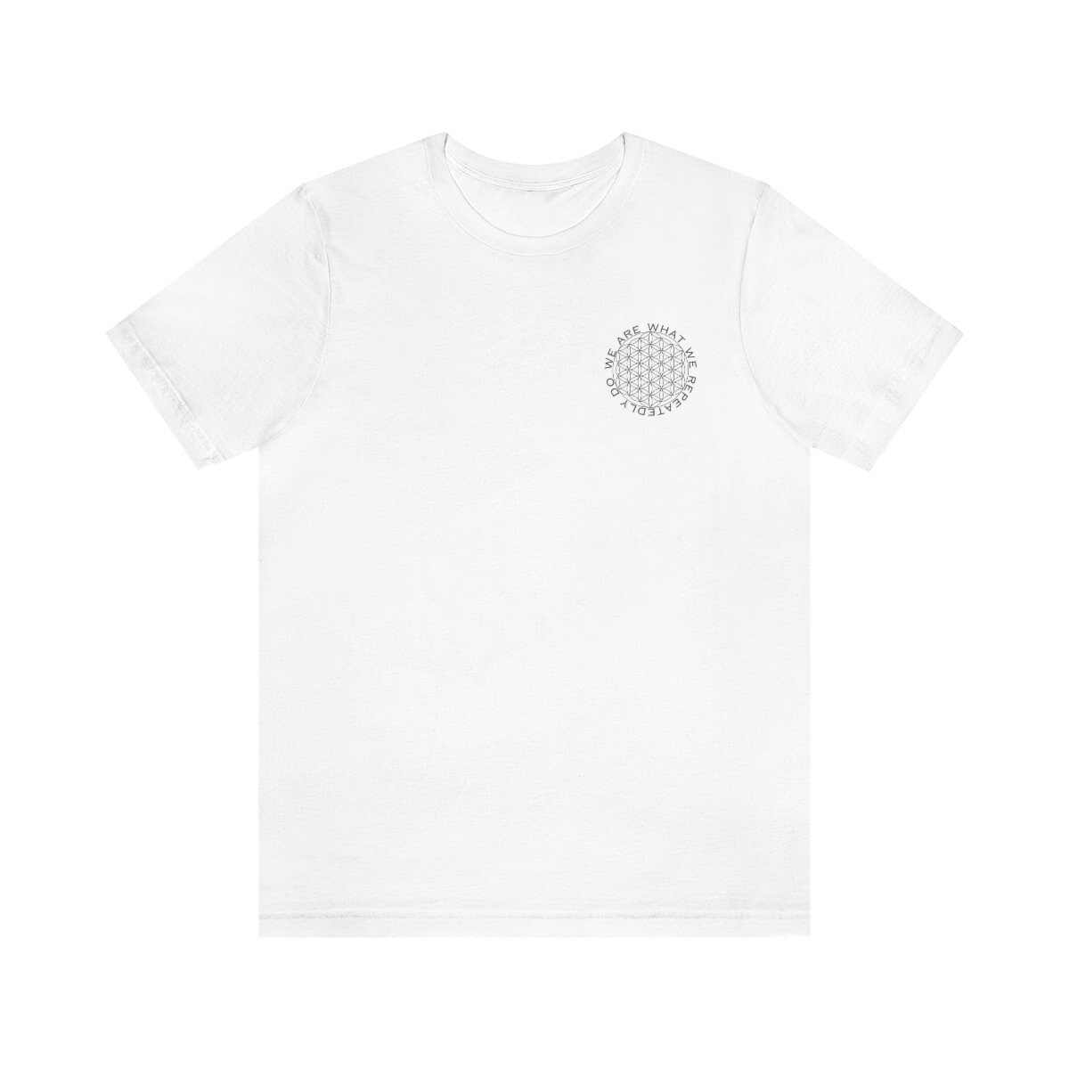 Aristotle Ancient Greek Philosopher T-shirt We Are What We - Etsy
