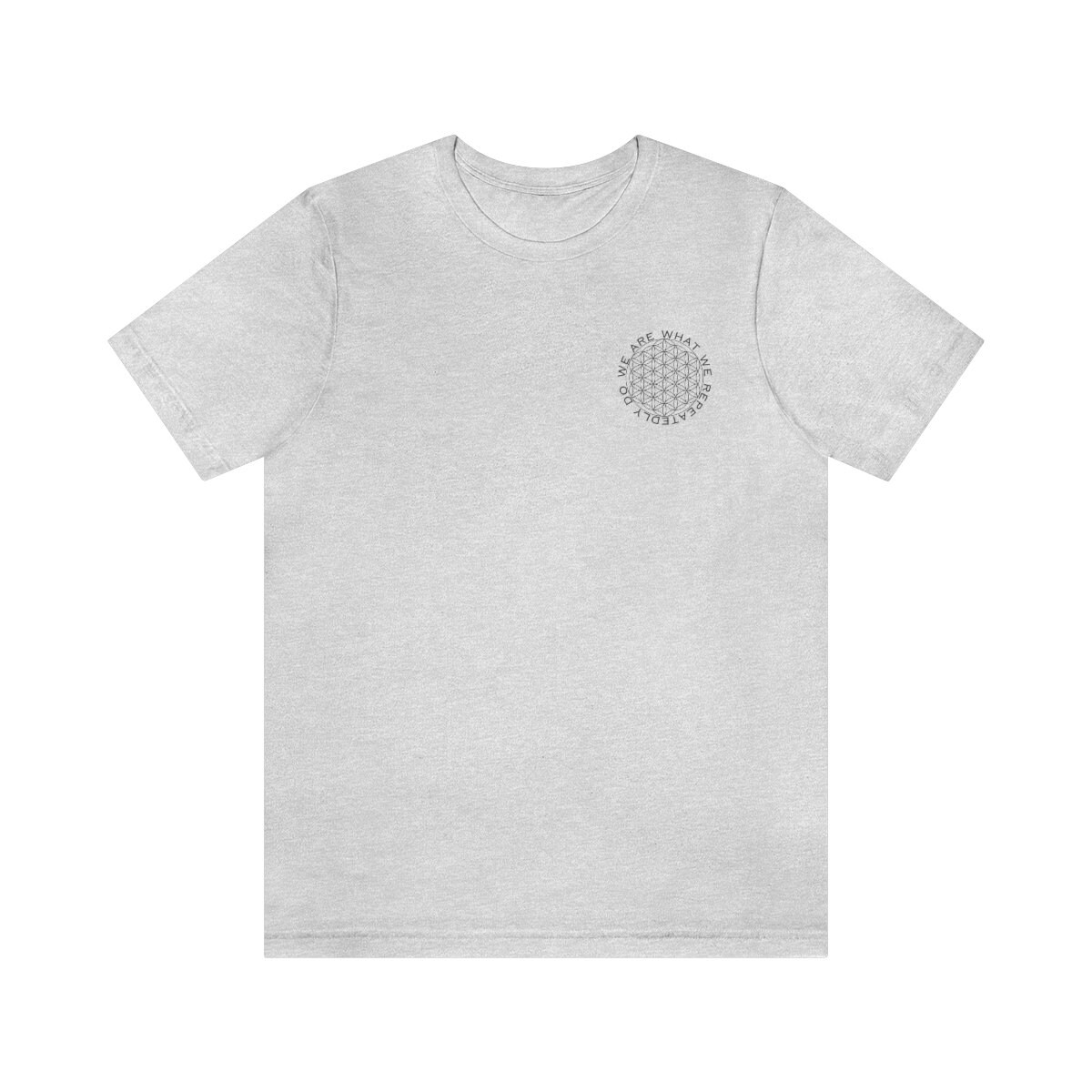 Aristotle Ancient Greek Philosopher T-shirt We Are What We - Etsy