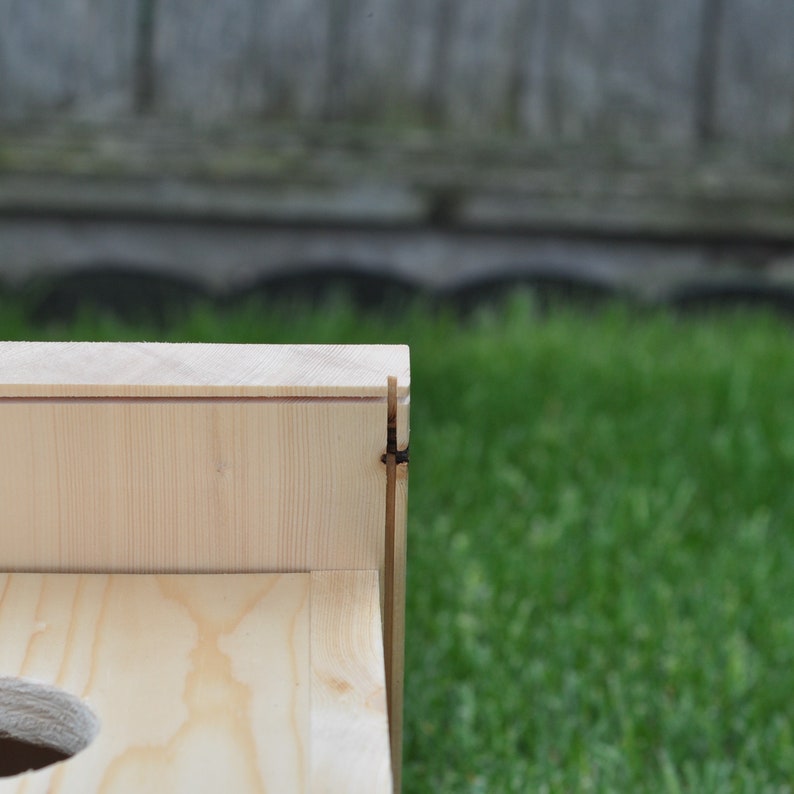 Bird Nest Box Plan | Northern Flicker Birdhouse Plan DIY - Etsy