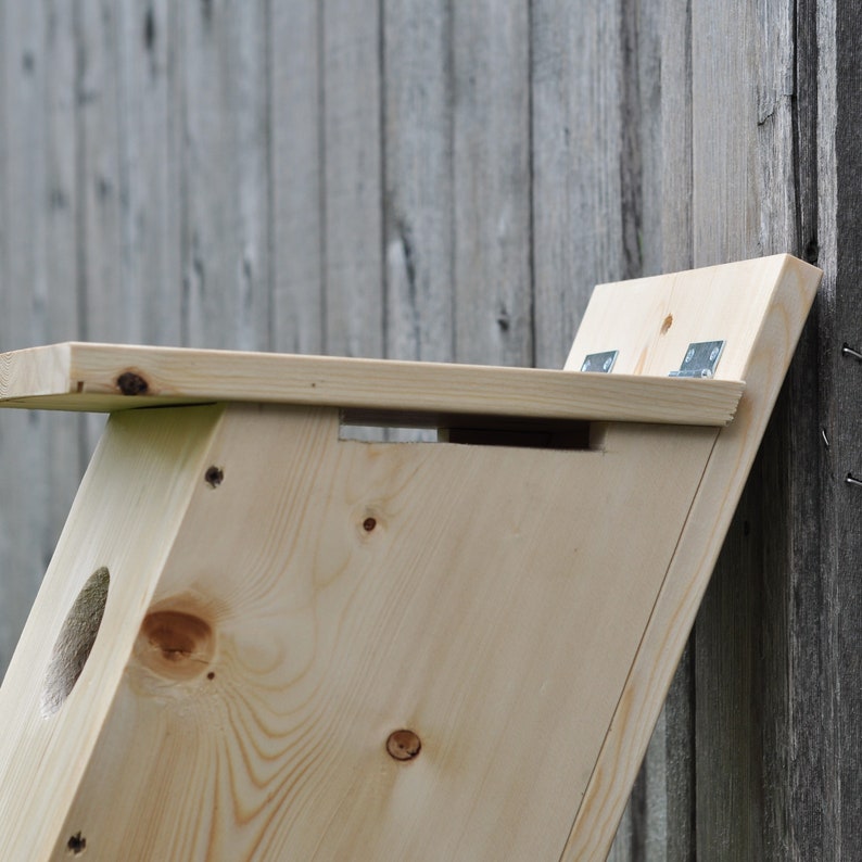 Bird Nest Box Plan | Northern Flicker Birdhouse Plan DIY - Etsy