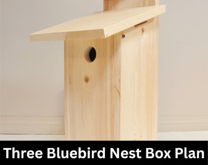 Bird Nest Box Plan | Bluebird House Plan DIY - Etsy