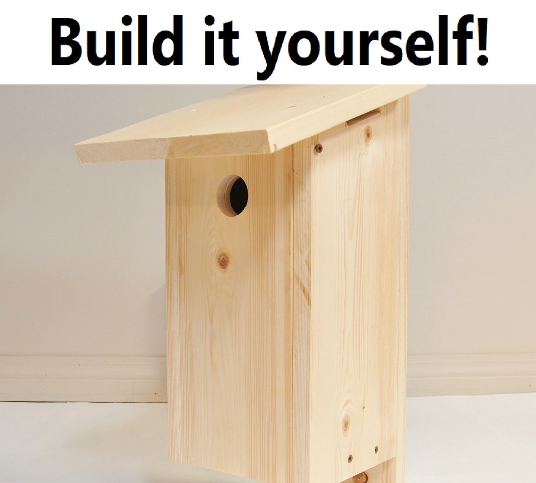 Bird Nest Box Plan Bluebird House Plan DIY - Etsy