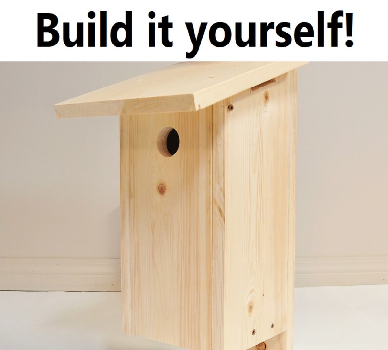 Bird Nest Box Plan Bluebird House Plan Diy Etsy