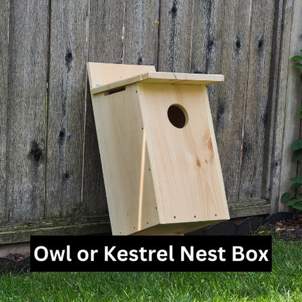 Nest Box - Etsy