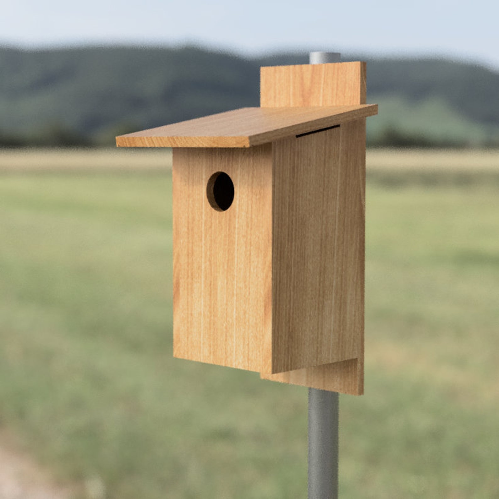 Bird Nest Box Plan Owl or Kestrel Nest Box Plan DIY - Etsy