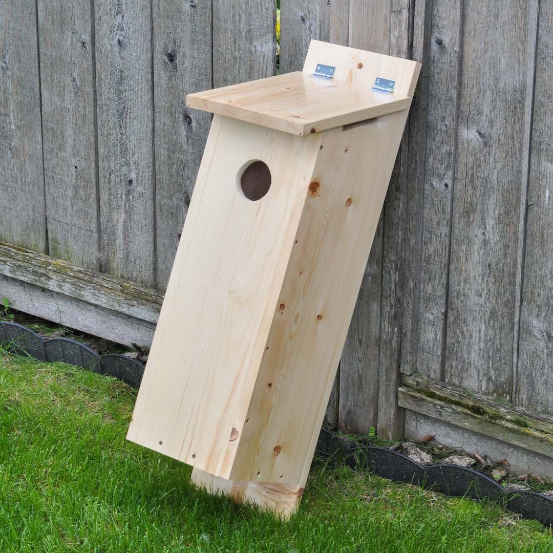 Bird Nest Box Plan Northern Flicker Birdhouse Plan DIY - Etsy
