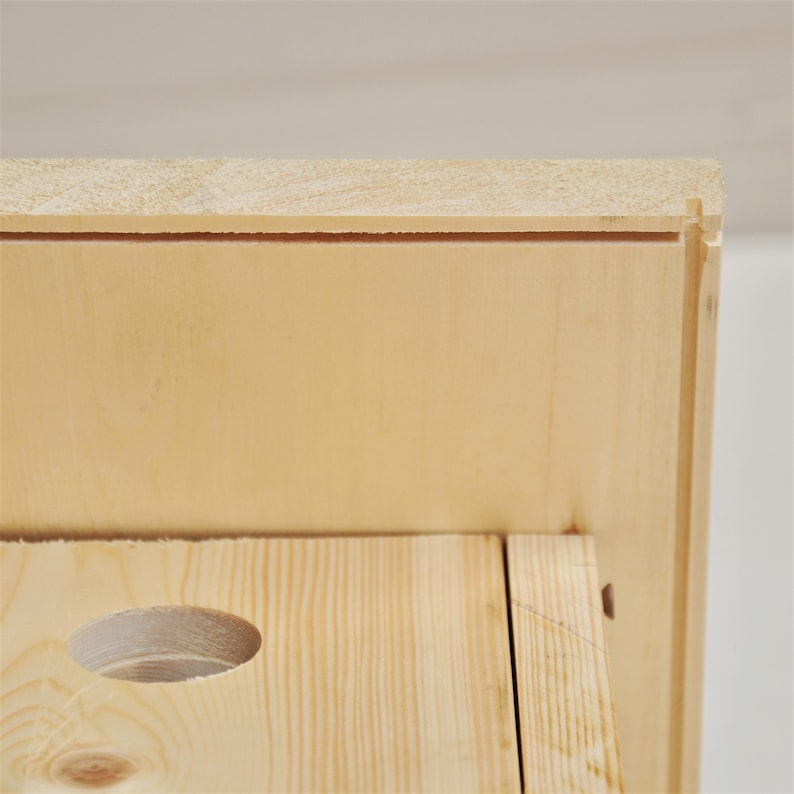 Bird Nest Box Plan Bluebird House Plan DIY - Etsy