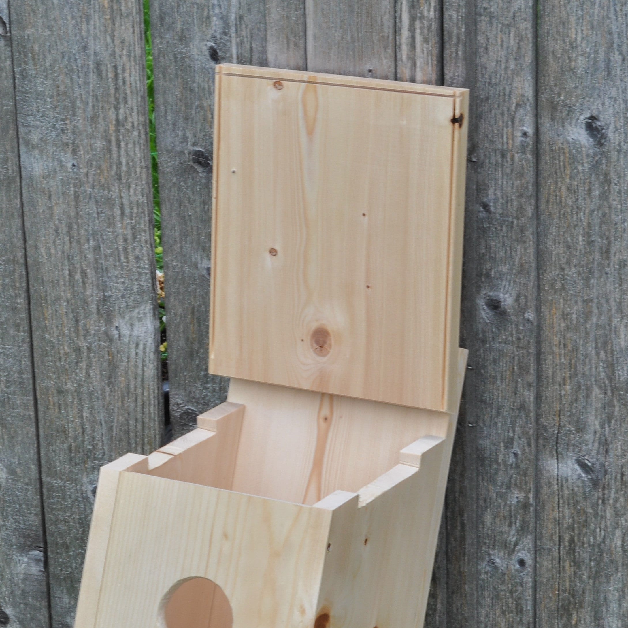 Bird Nest Box Plan | Northern Flicker Birdhouse Plan DIY - Etsy