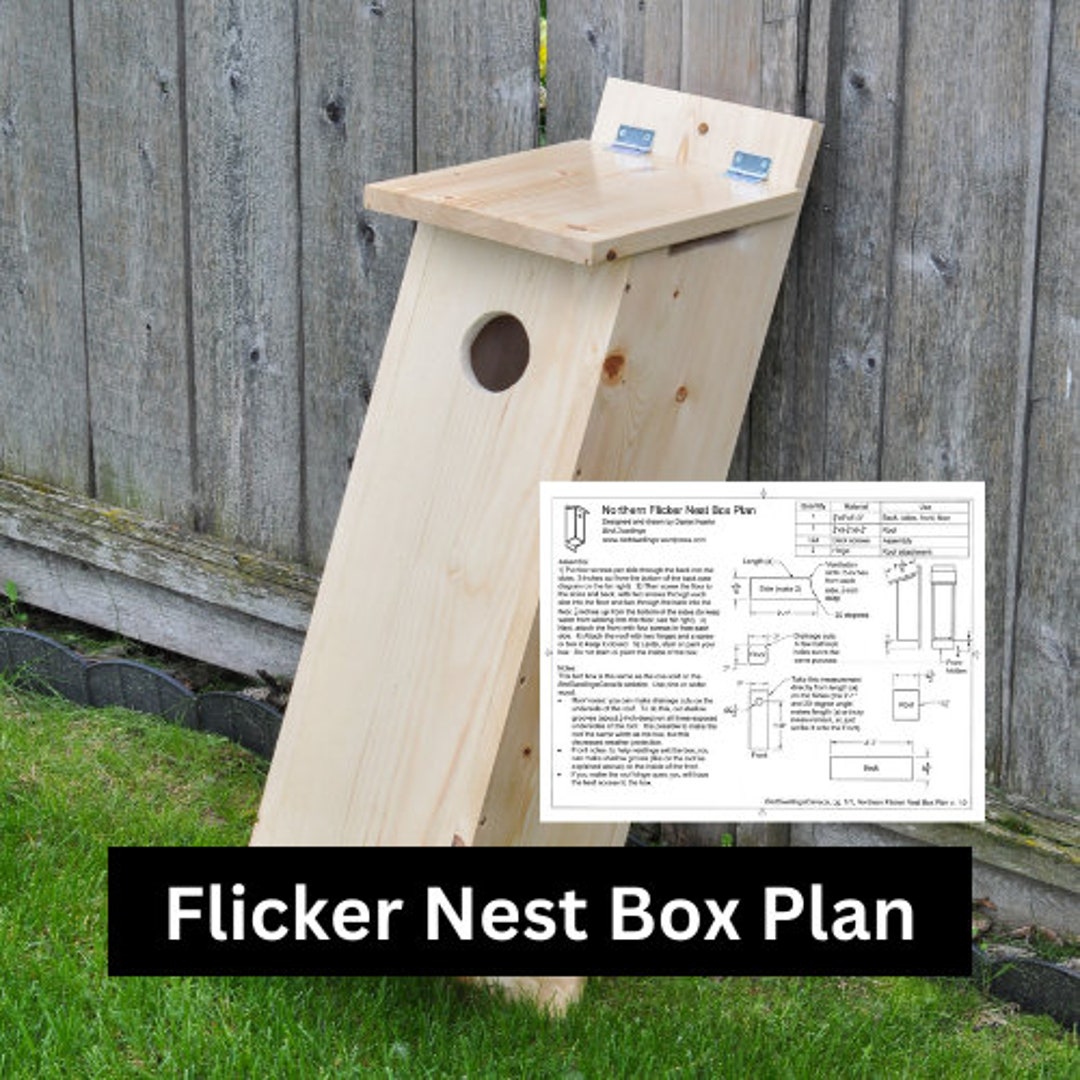 Bird Nest Box Plan | Northern Flicker Birdhouse Plan DIY - Etsy