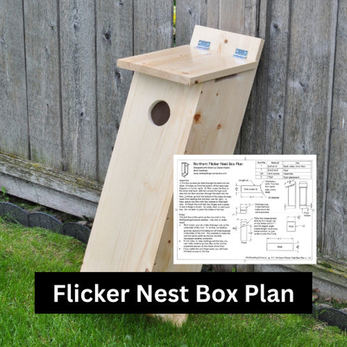 Bird Nest Box Plan | Northern Flicker Birdhouse Plan DIY - Etsy