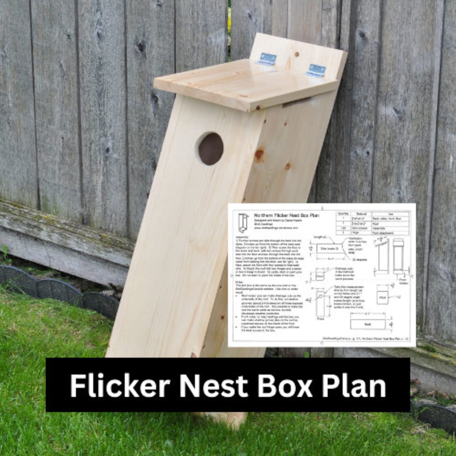 Bird Nest Box Plan | Northern Flicker Birdhouse Plan DIY - Etsy