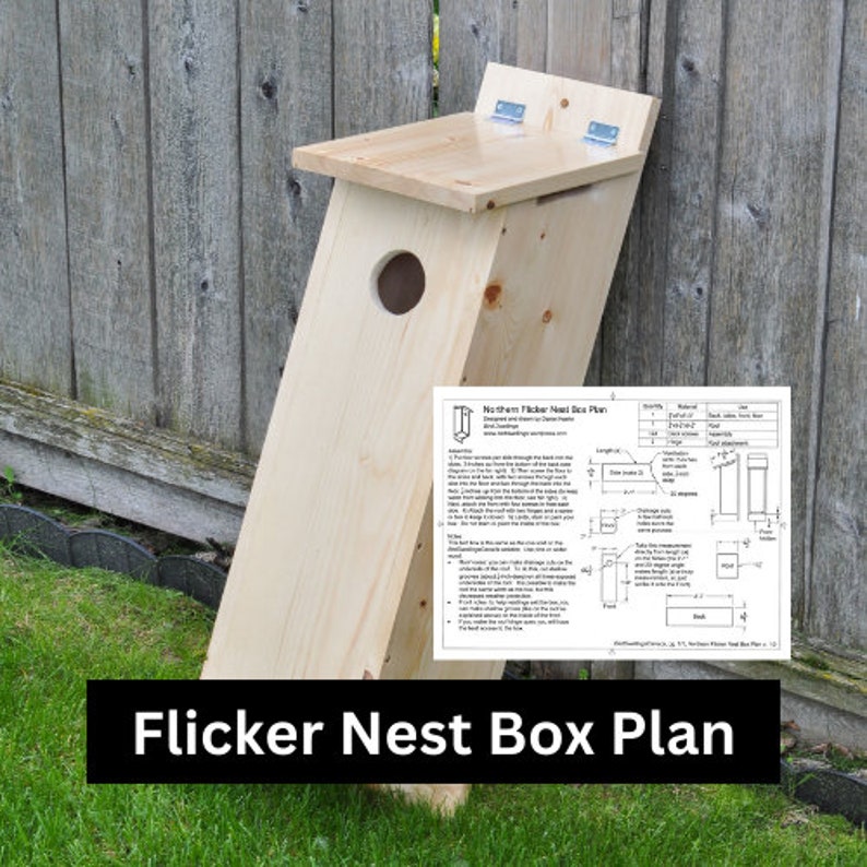 Bird Nest Box Plan | Northern Flicker Birdhouse Plan DIY - Etsy
