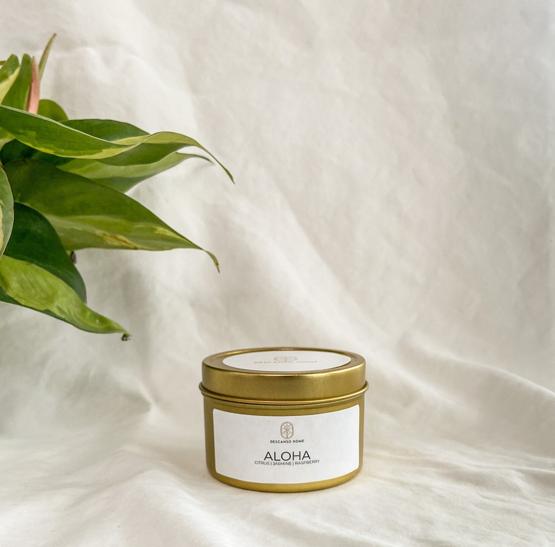 Volcano type Scented Candle Soy Wax Candle 4 Oz Travel Candle Fruit ...