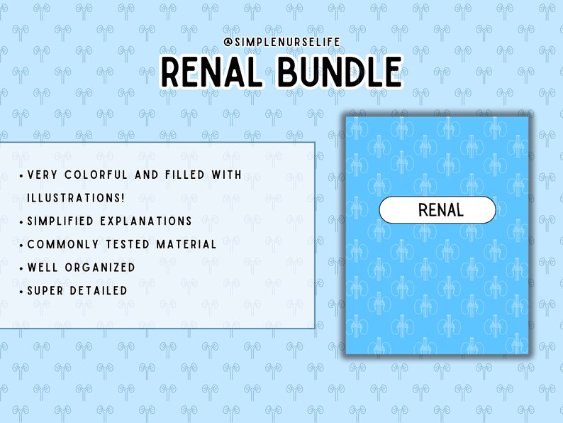 Renal System Nursing Notes Bundle: NCLEX Med Surg (digital Download) - Etsy