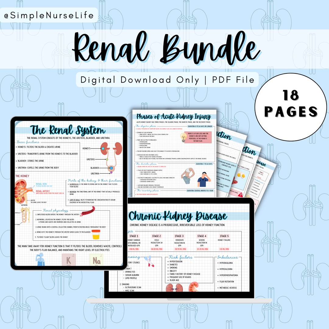 The Renal System Nursing Bundle Notes, NCLEX Notes, Med Surg Notes - Etsy
