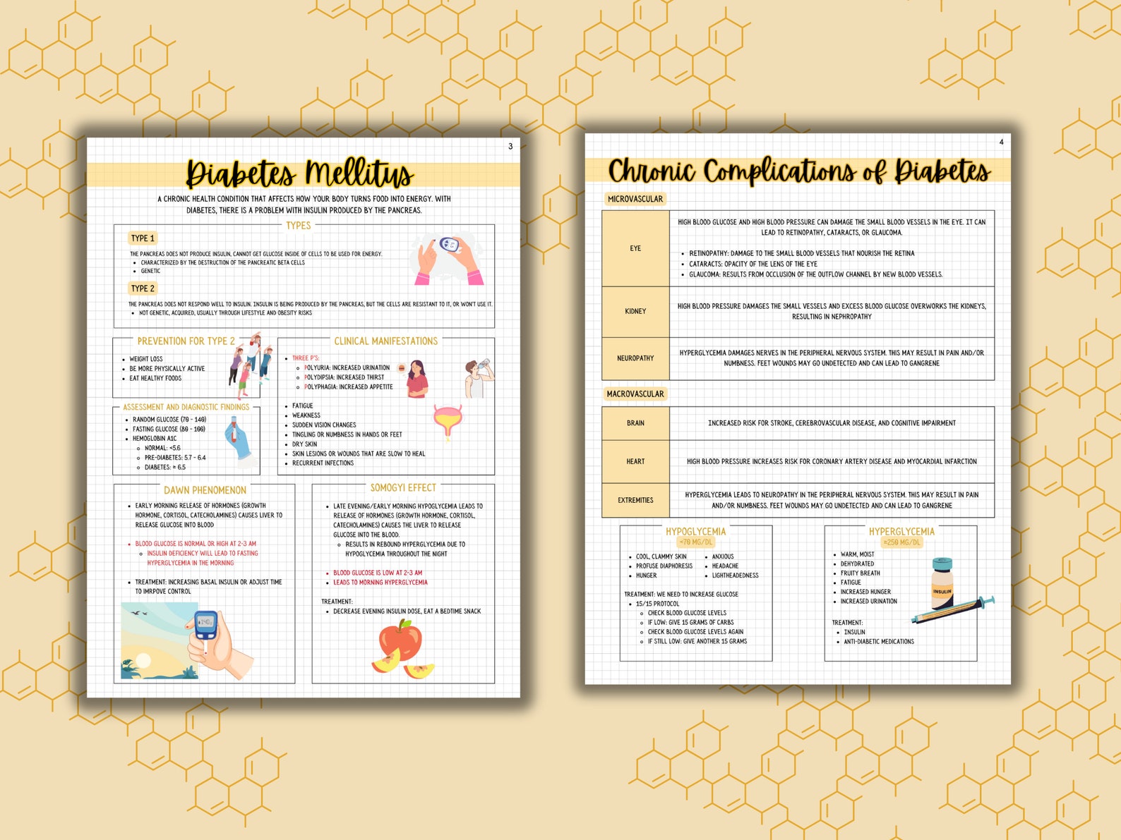 Pancreatic Nursing Bundle Notes, NCLEX Notes, Med Surg Notes - Etsy