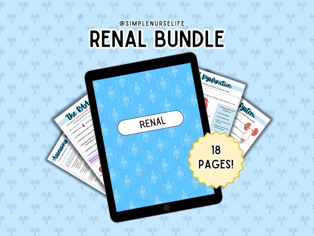 The Renal System Nursing Bundle Notes, NCLEX Notes, Med Surg Notes - Etsy
