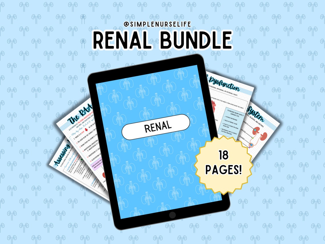 The Renal System Nursing Bundle Notes, NCLEX Notes, Med Surg Notes - Etsy