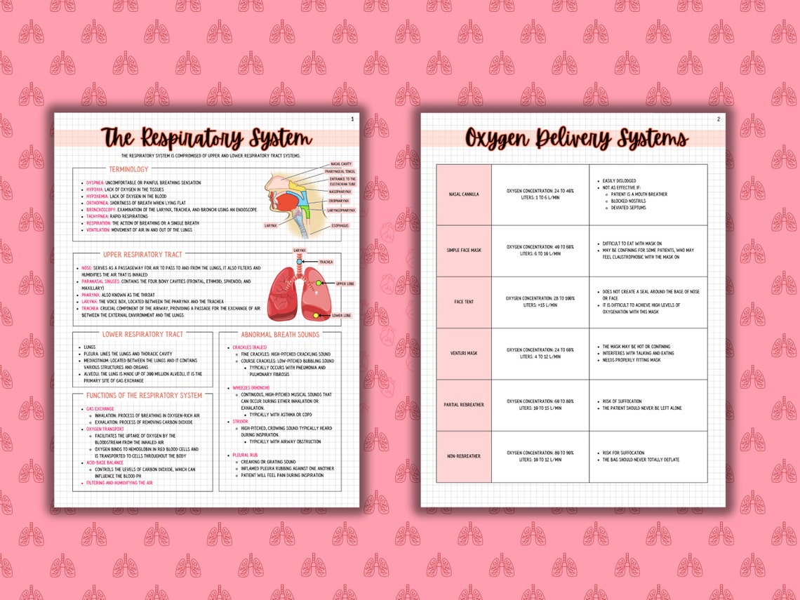 Respiratory System Nursing Notes Bundle: NCLEX & Med Surg (digital ...