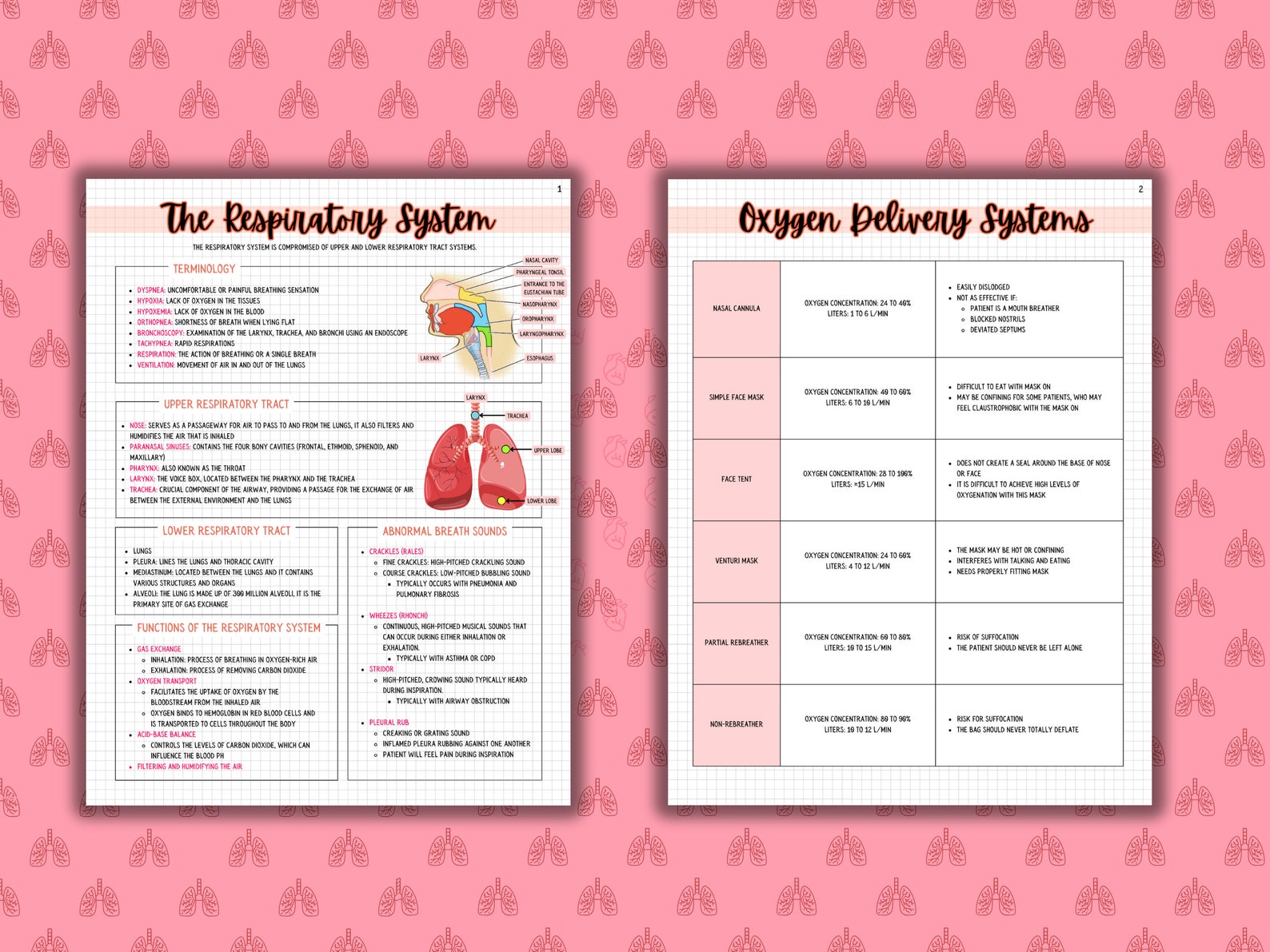 Respiratory System Nursing Notes Bundle: NCLEX & Med Surg (digital ...