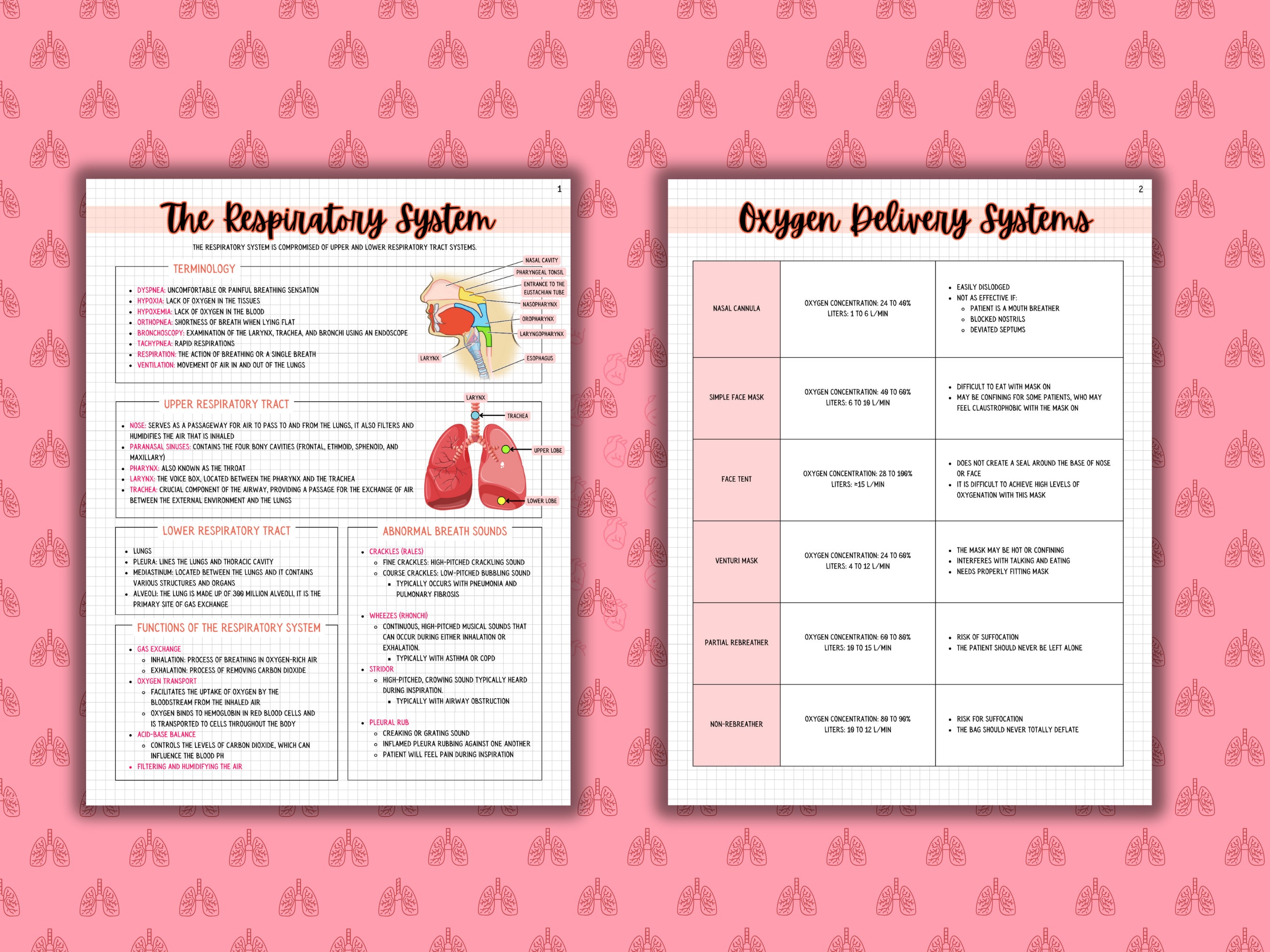 The Respiratory System Nursing Bundle Notes, NCLEX Notes, Med Surg ...