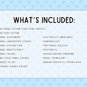 The Renal System Nursing Bundle Notes, NCLEX Notes, Med Surg Notes - Etsy