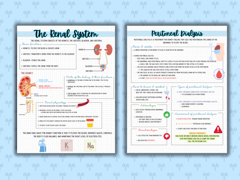 The Renal System Nursing Bundle Notes, NCLEX Notes, Med Surg Notes - Etsy