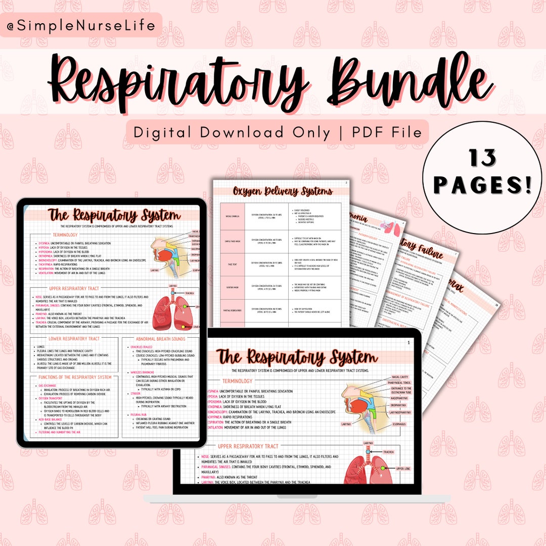 The Respiratory System Nursing Bundle Notes NCLEX Notes Med - Etsy