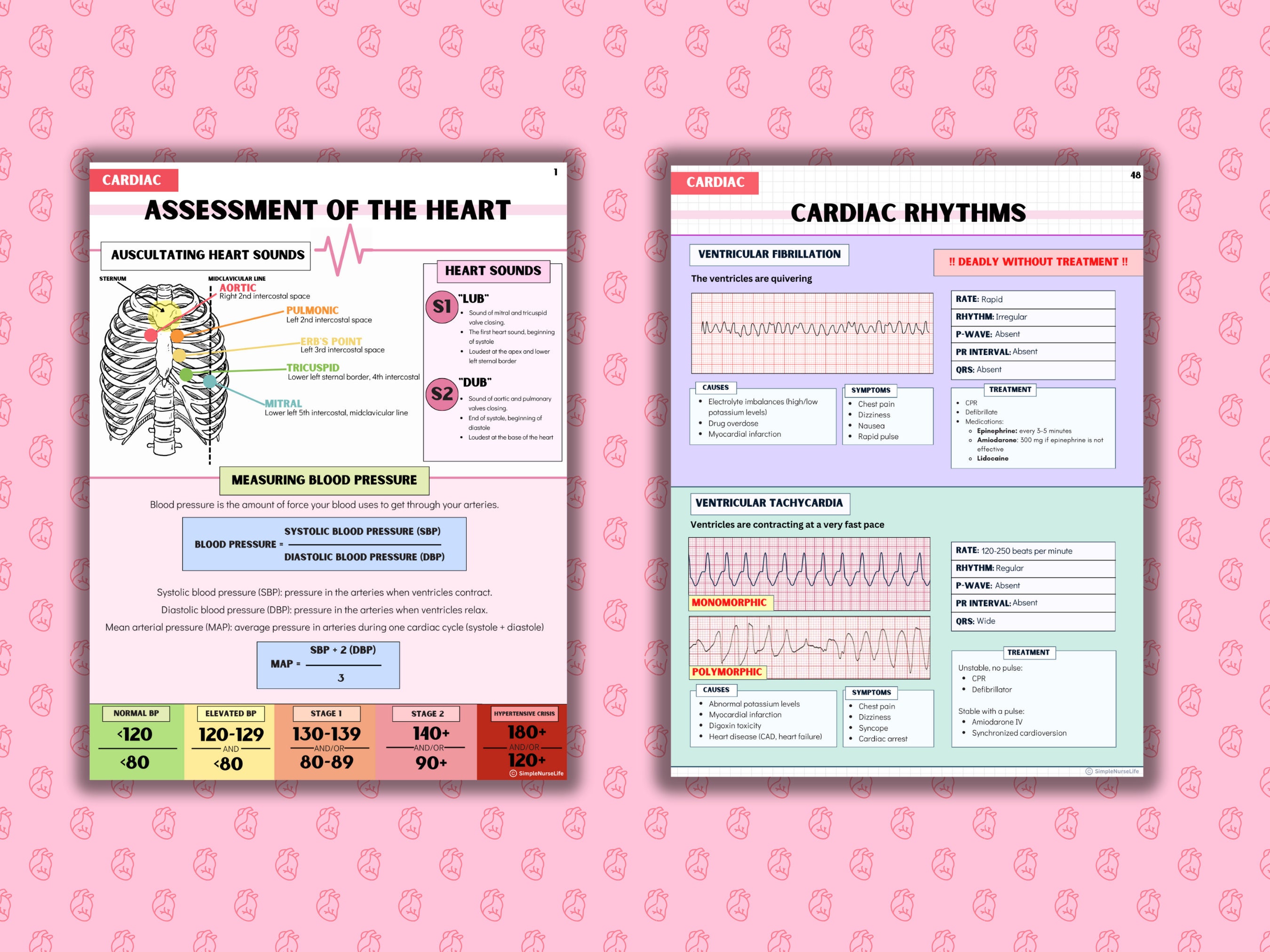Cardiac Nursing Notes Bundle: NCLEX, Med Surg, Cardiology (digital ...