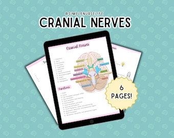 Nursing School | Cranial Nerves Cheat Sheet - Etsy