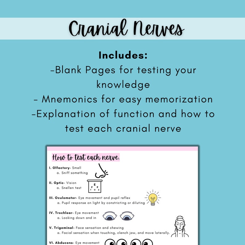 Cranial Nerves Study Guide BUNDLE, Nursing Cheat Sheet, Cranial Nerves ...
