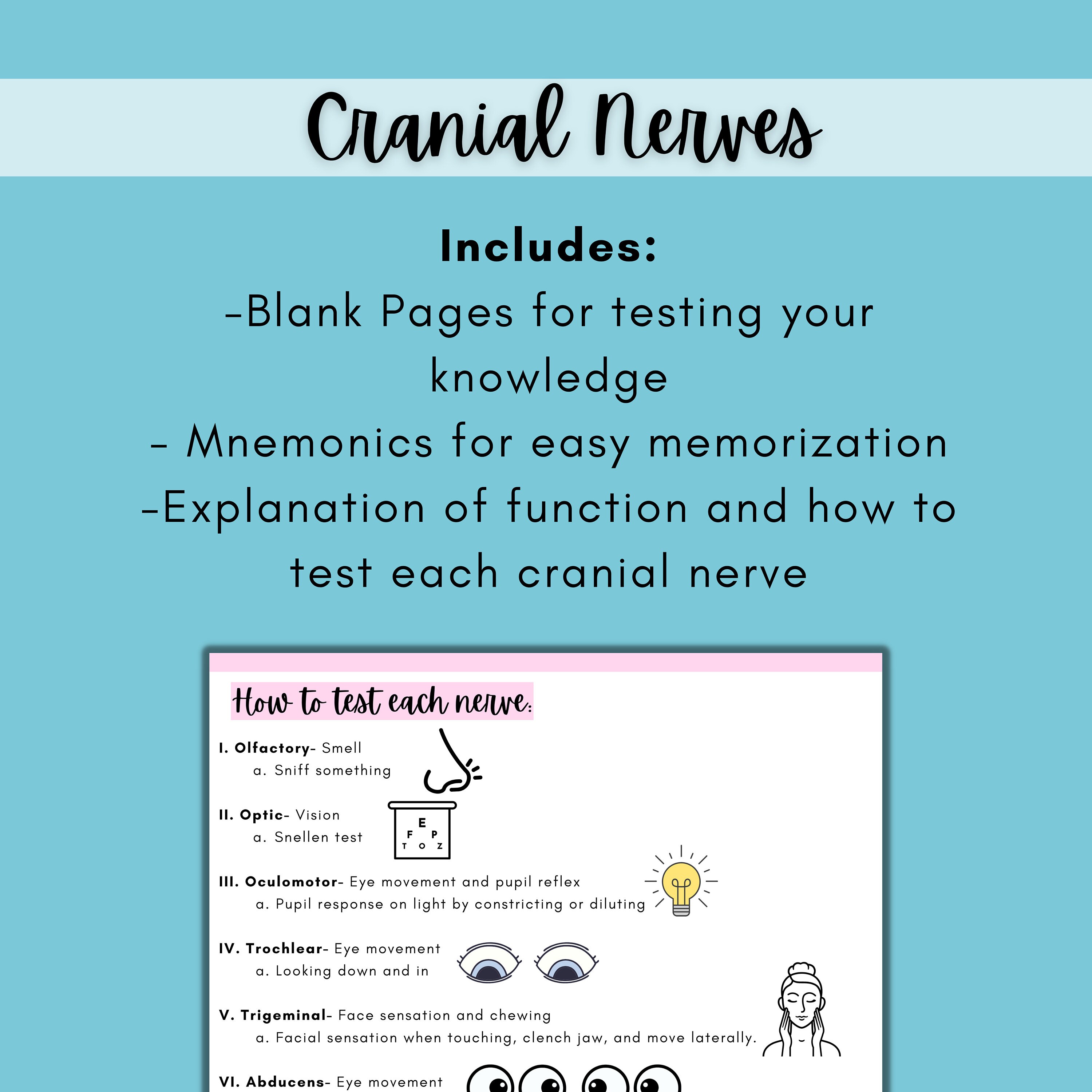 Cranial Nerves Study Guide BUNDLE Nursing Cheat Sheet - Etsy
