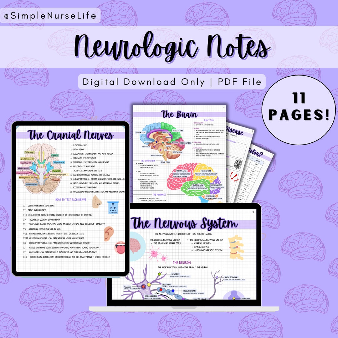 Neurologic Nursing Bundle Notes NCLEX Notes Med Surg Notes - Etsy